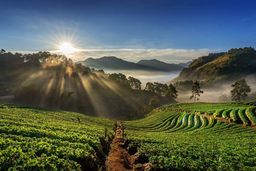 Agriculture – Exceed Chemical